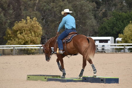 GeoSnapShot | Find photos from Extreme Cowboy Racing Vic State Champs