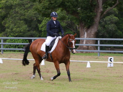 GeoSnapShot | Photos from Feb 2021 NCEC CCN One Day Event